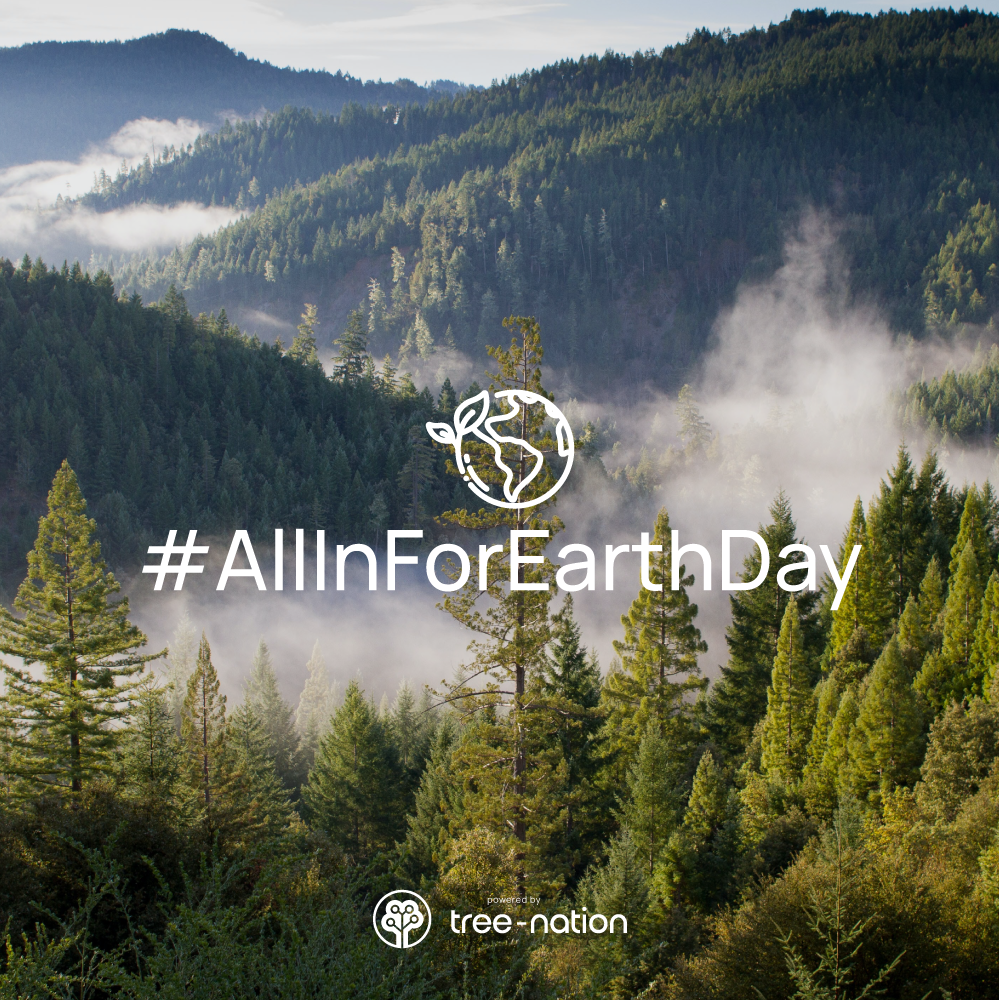 Tree planted by Maison Denis