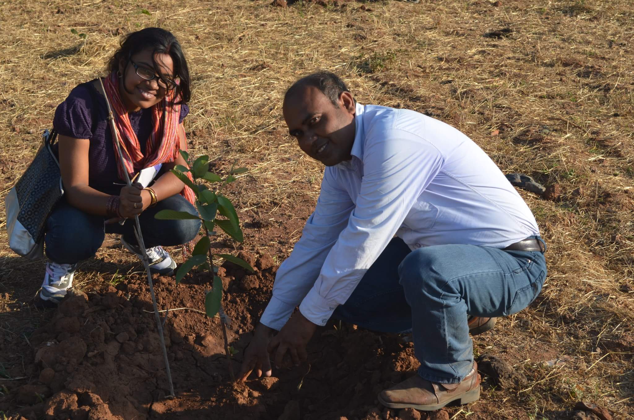 Lista de especies de árbol del proyecto Green Earth, Grow Plants, IN ...