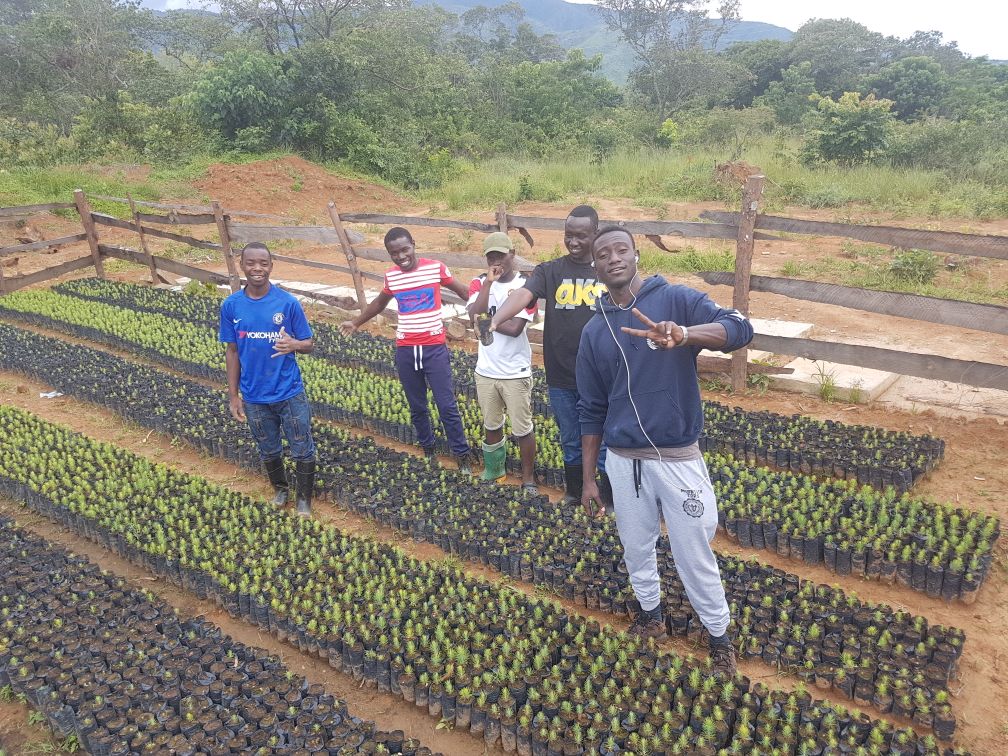 Plantation sites in project Tree planting Exercise - Nkhata ba, MW ...