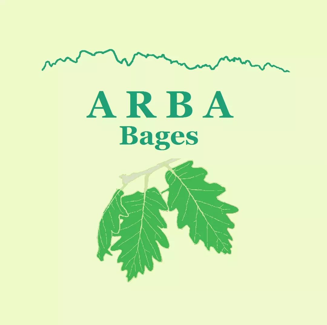 List of tree species in project ARBA Bages, ES | Tree-Nation - Project ...
