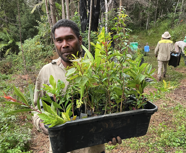 Reforestation project Australian Bushfire Recovery, AU | Tree-Nation ...