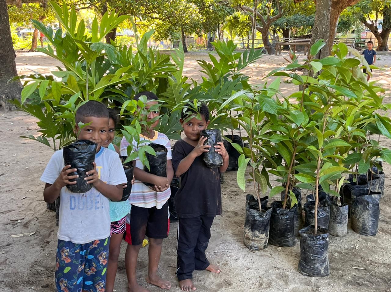 List of tree species in project Fruit Tree Planting, Roatan, HN | Tree ...