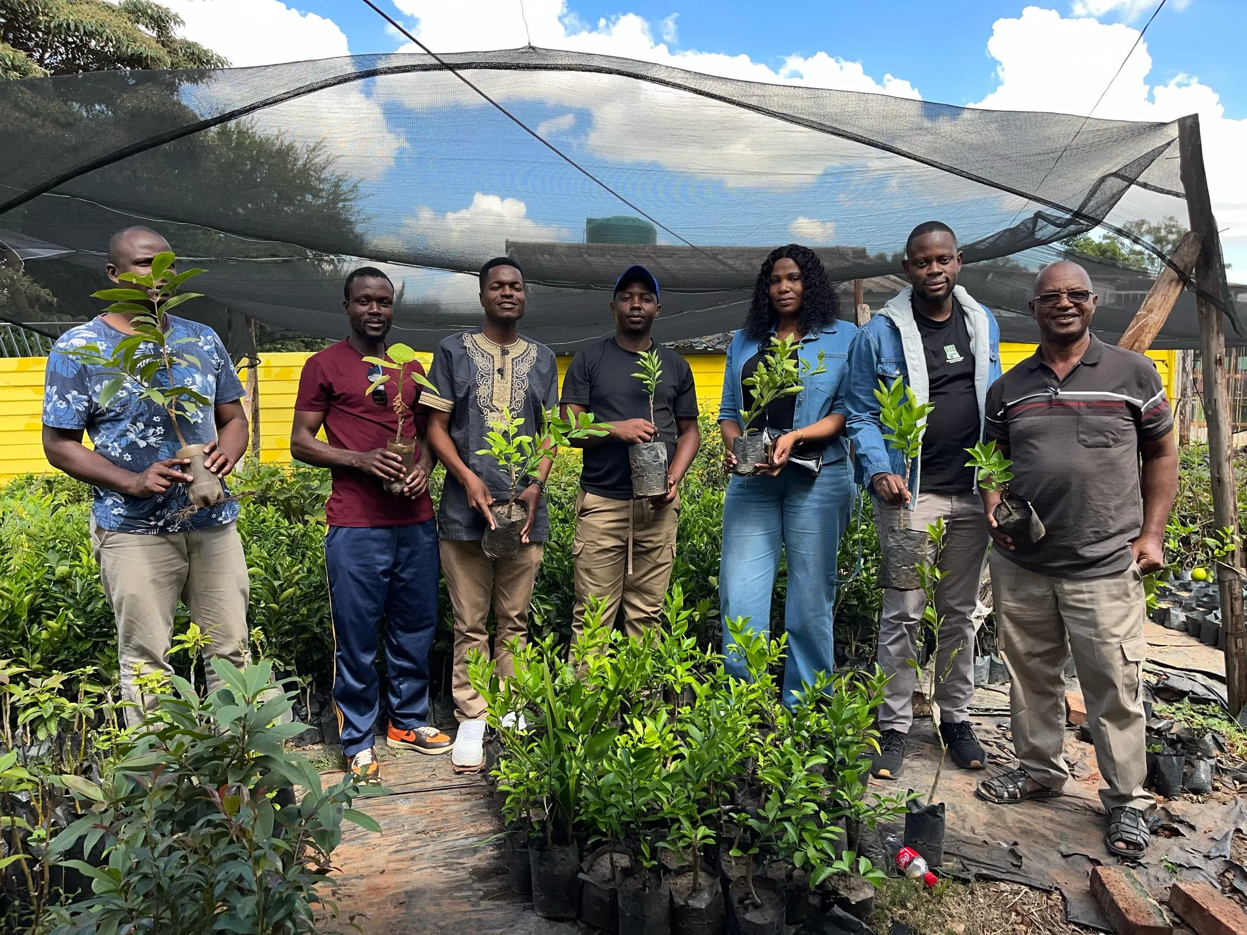 List of tree species in project Zimbabwe Reforestation Initiative, ZW ...