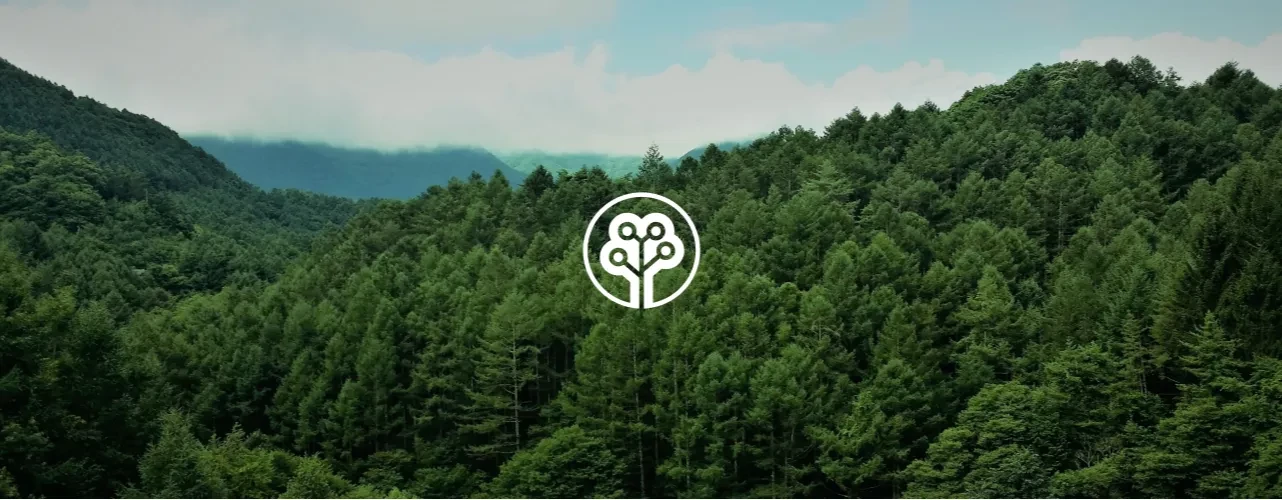 Tree-Nation 2023: A Year of Growth, Impact, and Innovation | Tree ...
