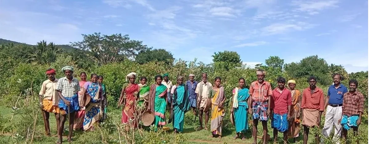 How Planting Trees with Community Participation Supports Conservation ...