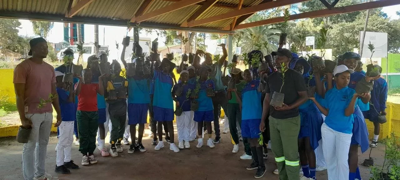 Latest project updates from project Zimbabwe Reforestation Initiative ...