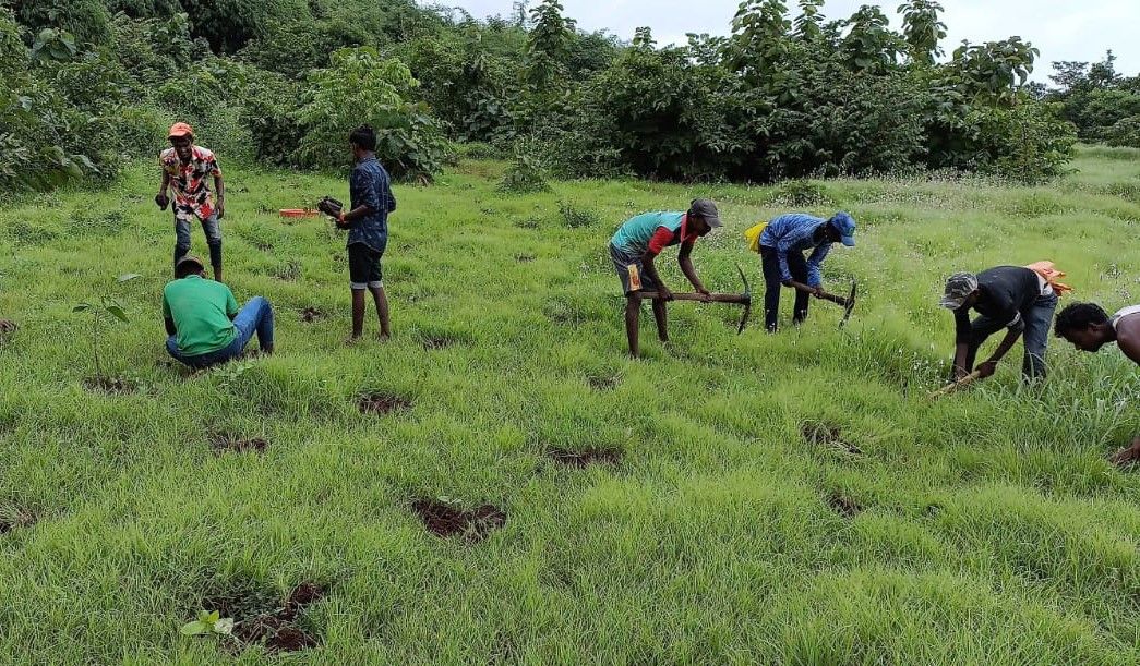 New planting site for the 2022 planting season | Tree-Nation - Project ...