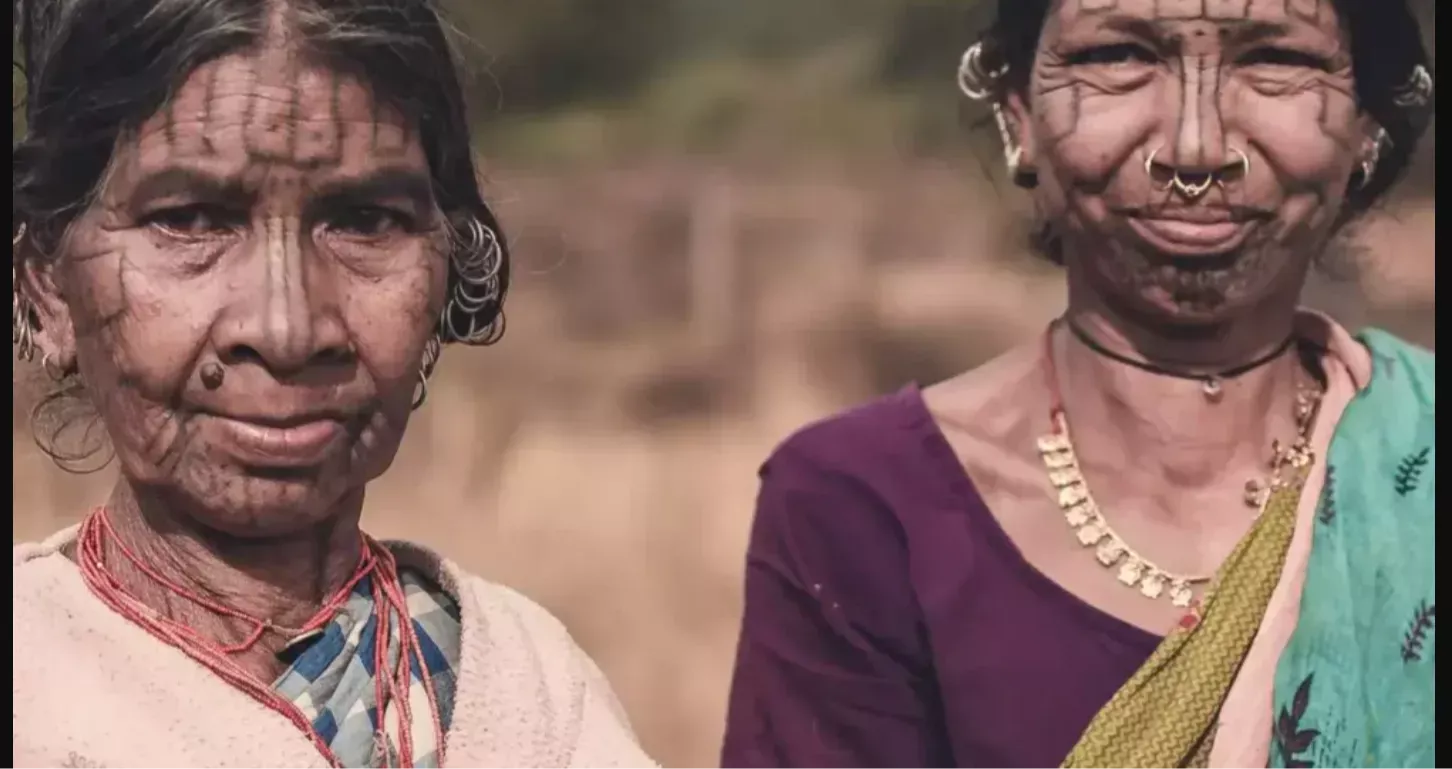 Why are tribes important for India? | Tree-Nation - Project’s updates