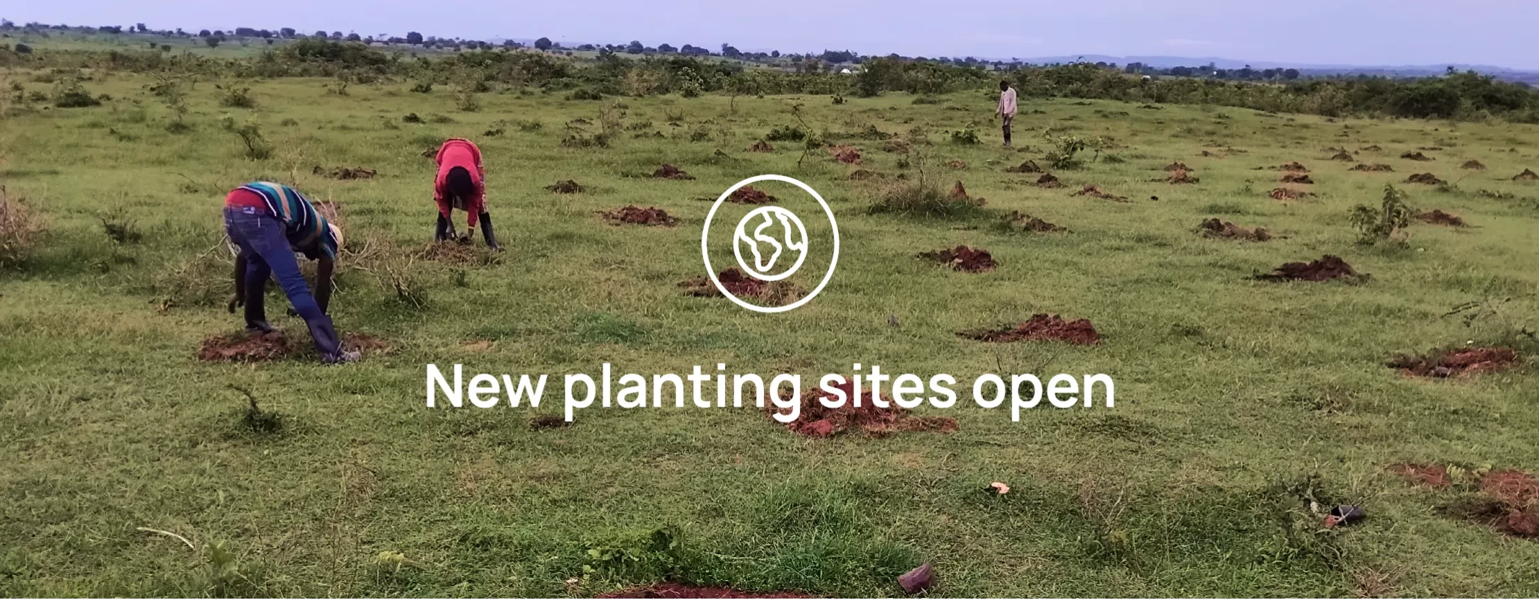 Expanding our Impact: Introducing a new planting site for the Geita ...