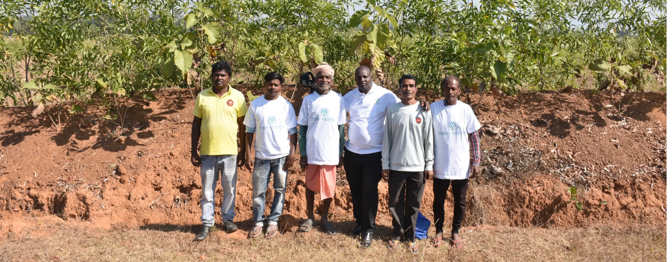 Tracking Green Footprints: My Journey Across India’s Tree Planting ...