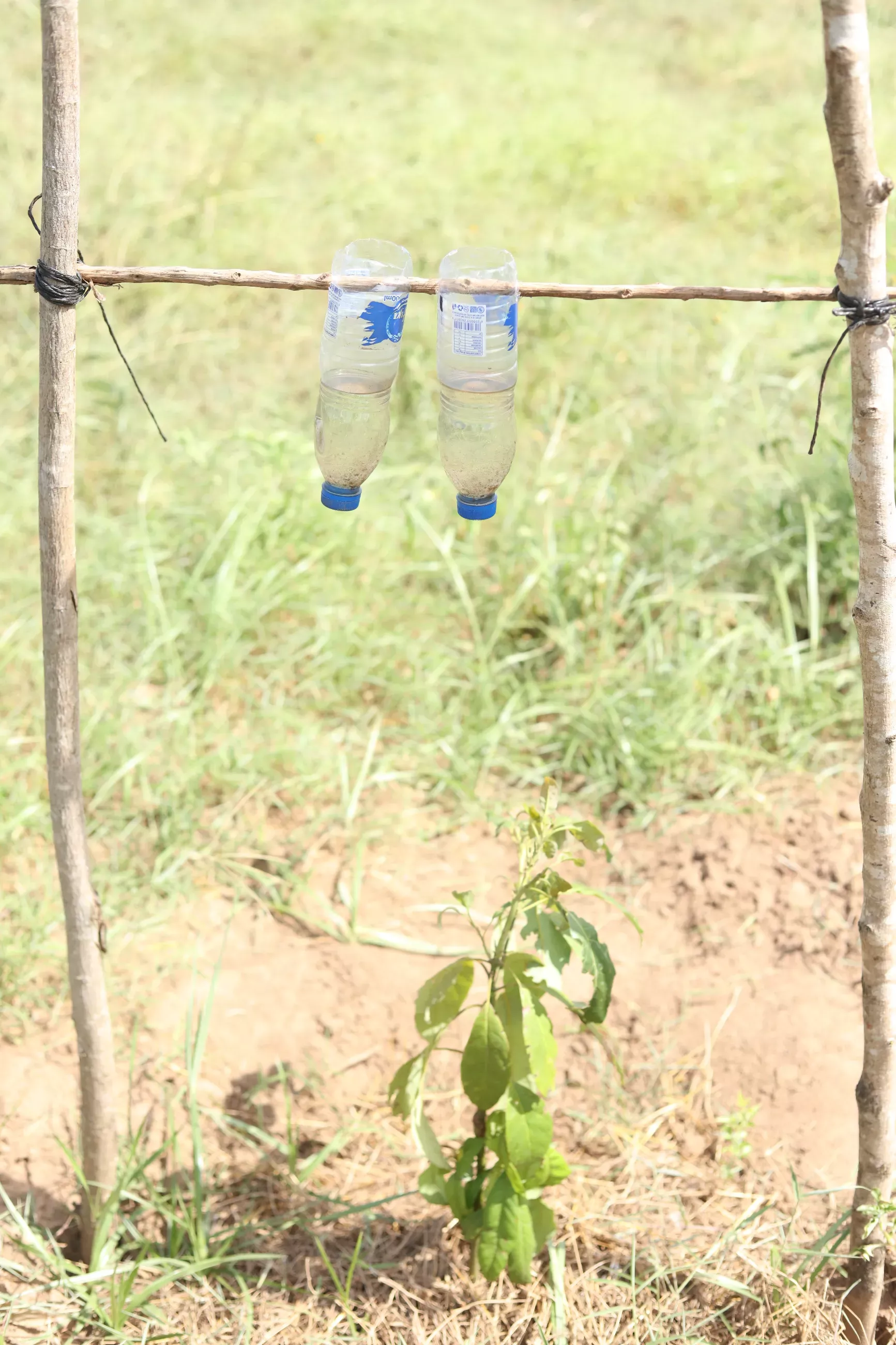 Bottle Irrigation System