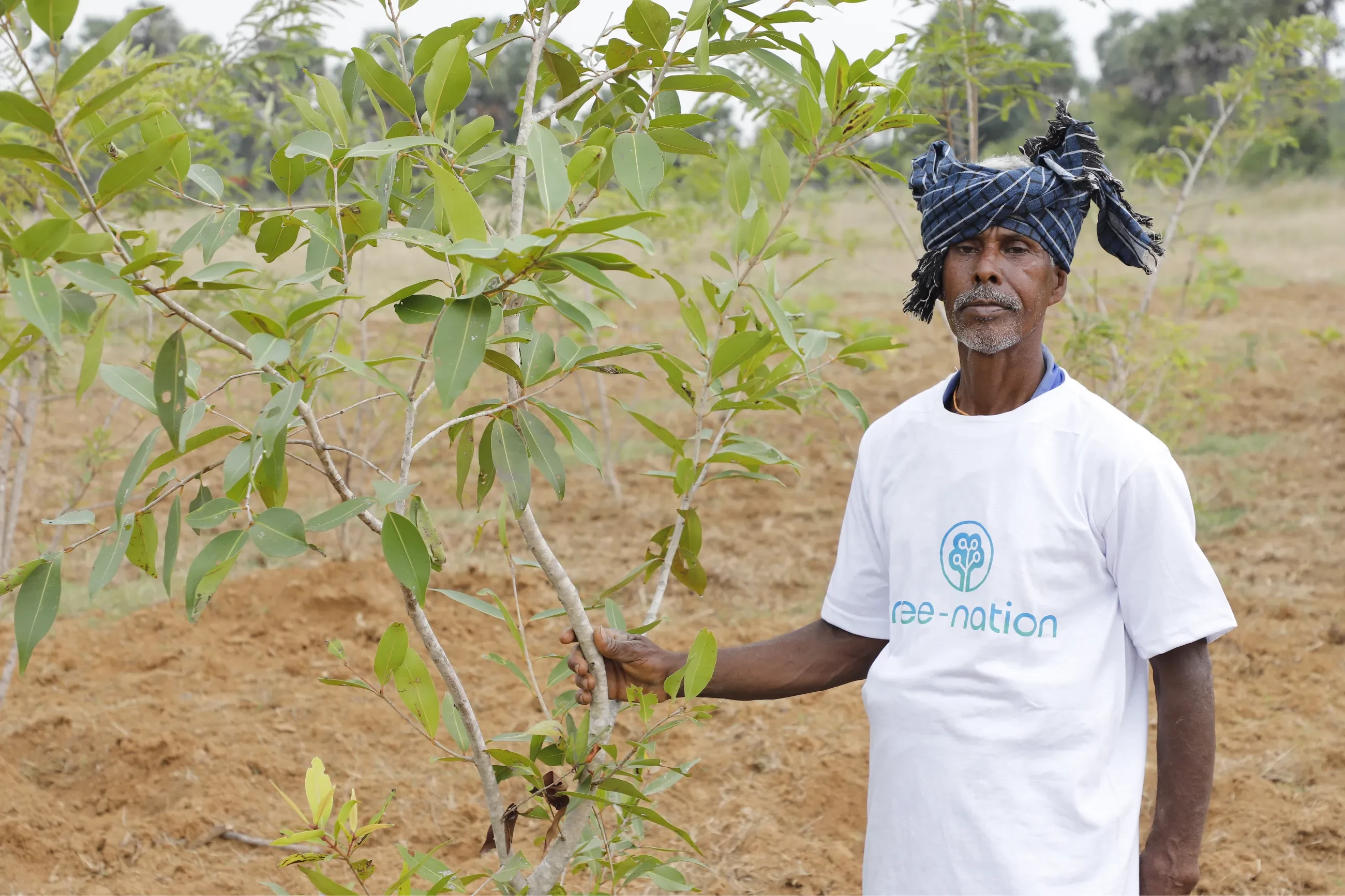 Latest project updates from project Trees for Tribals, IN | Tree-Nation ...