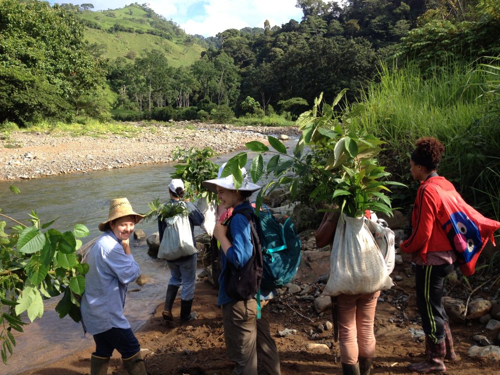 Volunteers help to reforest Costa-Rica | Tree-Nation - Project’s updates